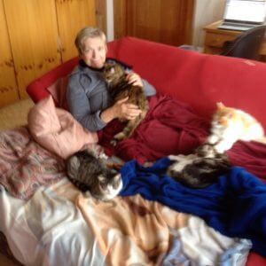 Do you love cats? - Here some true stories of my 25 years with cats ...